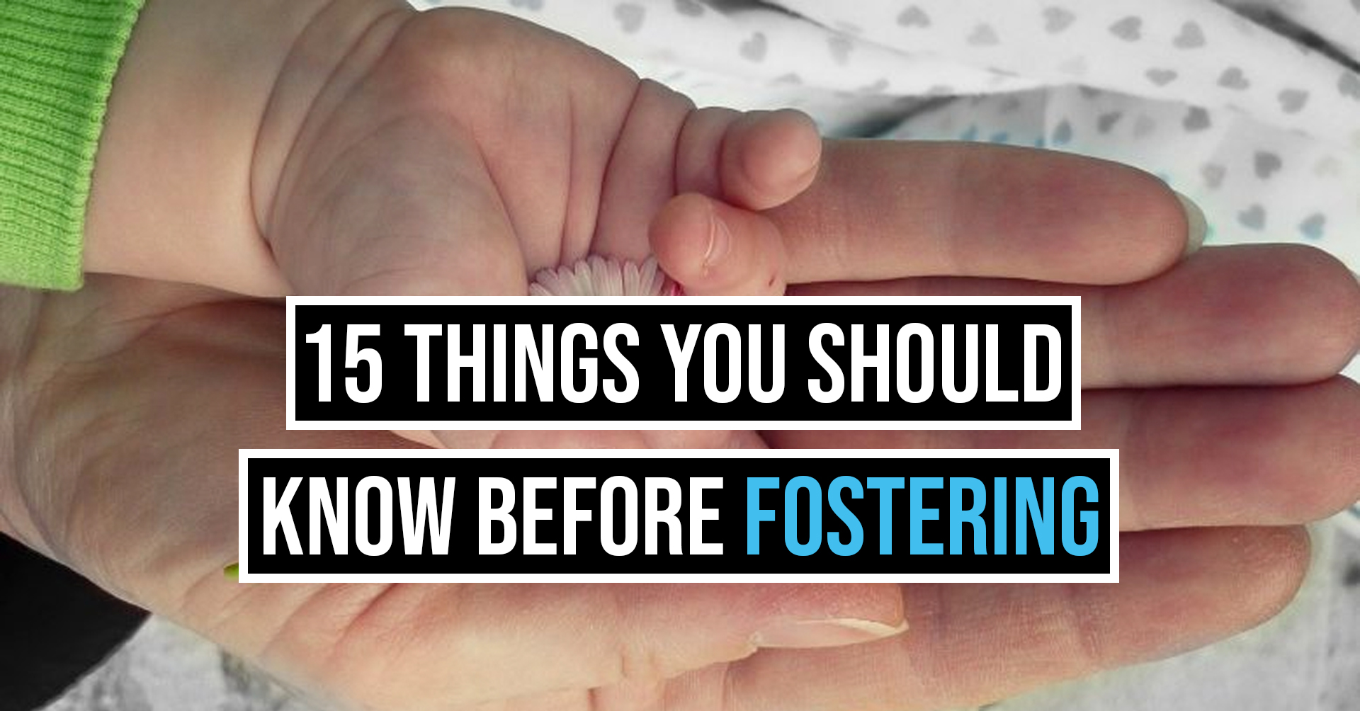 15 Things You Should Know Before Fostering | Foster Love